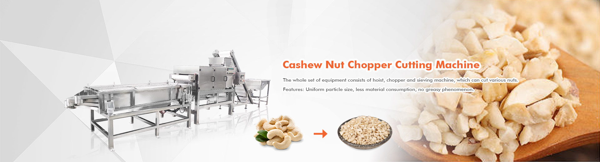 Professional Cashew Nut Processing Solution - LONGER