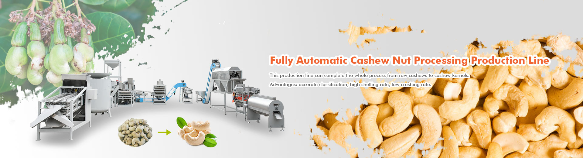 Professional Cashew Nut Processing Solution - LONGER